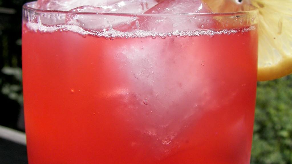 Raspberry Cordial Recipe - Food.com