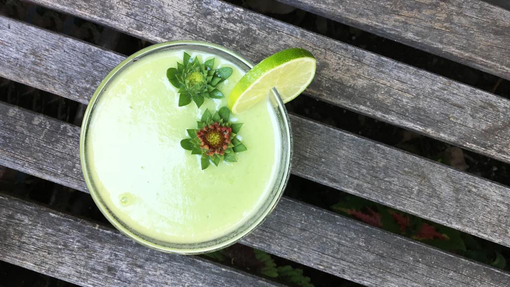 Avocado Daiquiri Recipe - Food.com