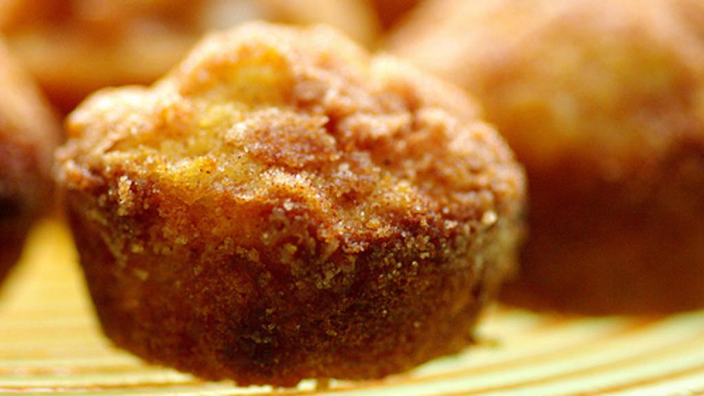 Snickerdoodle Mini Muffins Recipe - Food.com