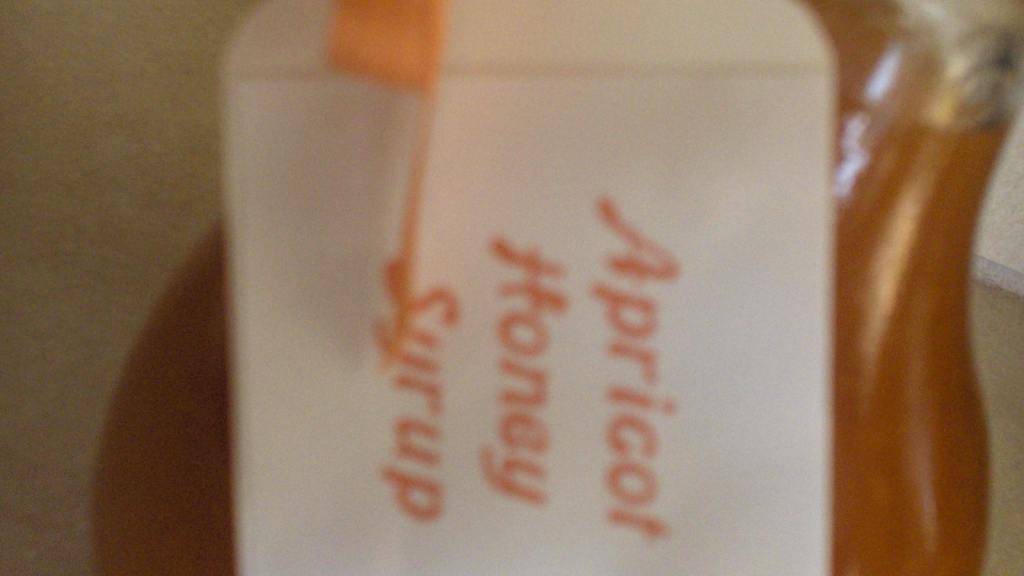 Apricot Honey Syrup Recipe - Food.com