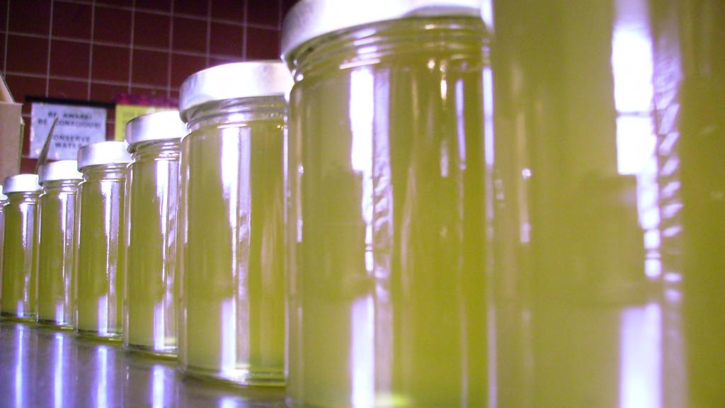 Kiwi Jelly Recipe