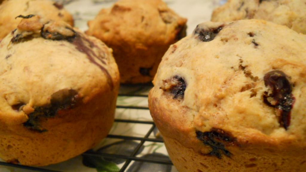 Cooking Light's Blueberry Cinnamon-Burst Muffins Recipe - Food.com