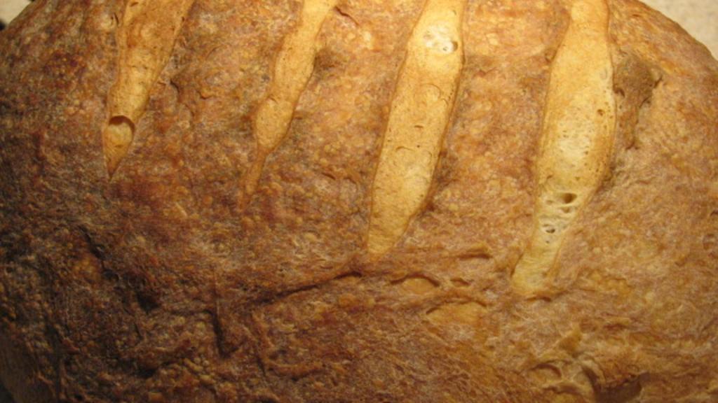 Bakery Style Sourdough Bread Recipe - Food.com