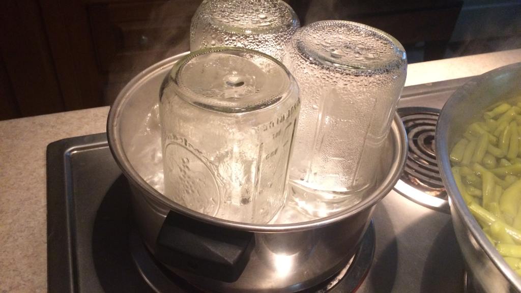 Canned Green or Wax Beans (Water Bath Method) Recipe - Food.com