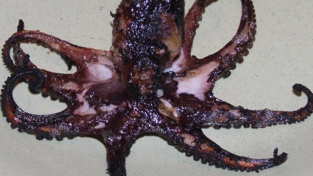 BBQ Garlic Octopus Recipe - Food.com