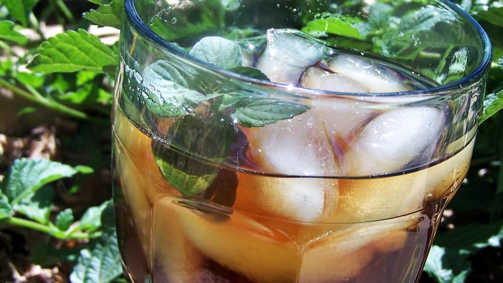 Sunsational Sun-Brewed Iced Tea Recipe - Food.com