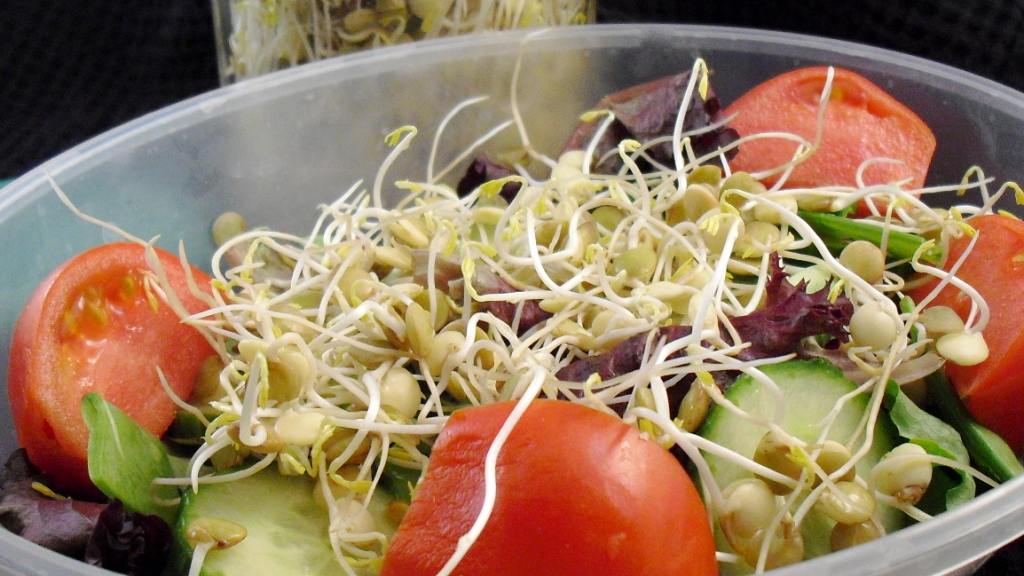 How to Sprout Lentils Recipe - Food.com