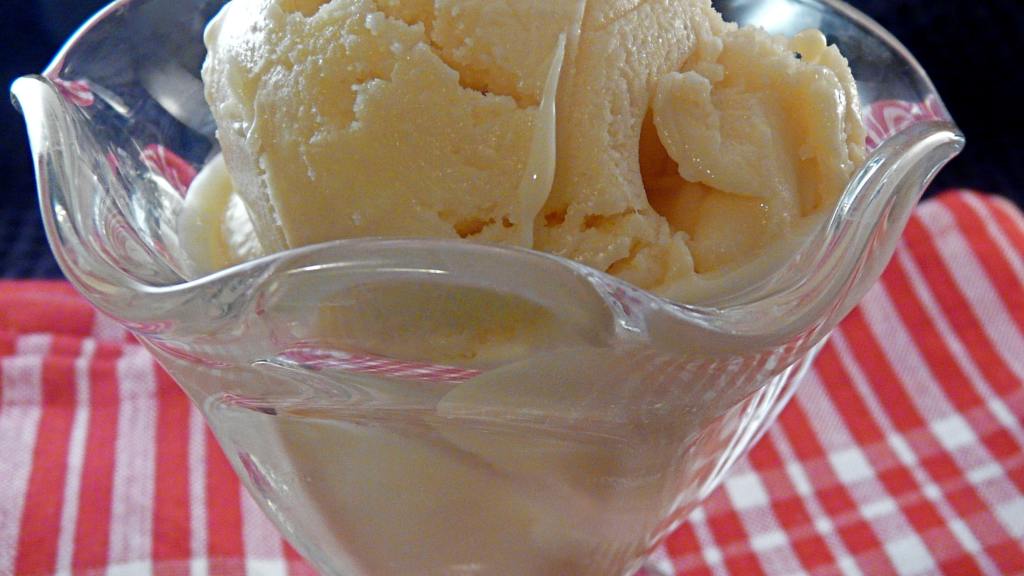 Homemade Frozen Custard Recipe - Food.com