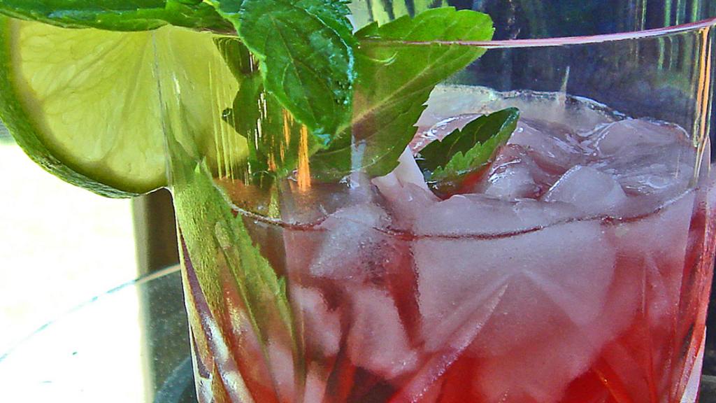 Pink Mojito Recipe - Food.com