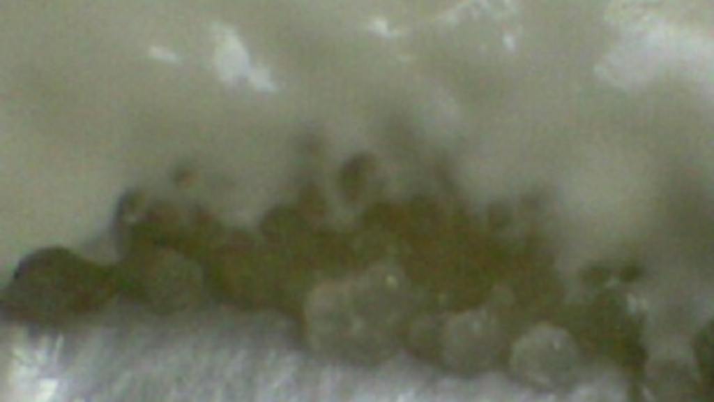 Green Tapioca & Coconut Cream Cups Recipe - Food.com