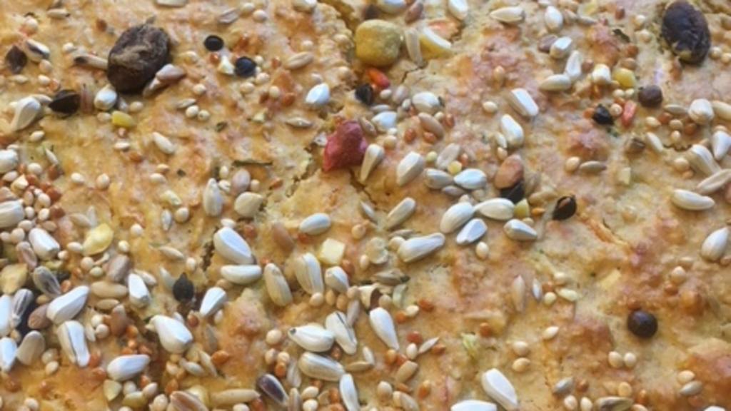 Wholesome Birdie Bread for Parrots Recipe - Food.com