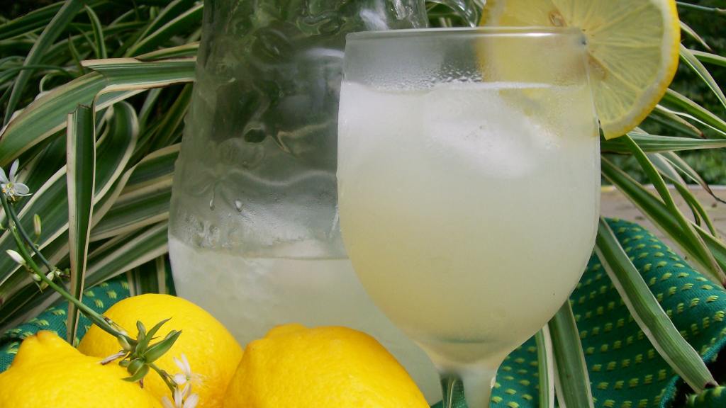Sparkling Lemonade Recipe - Food.com