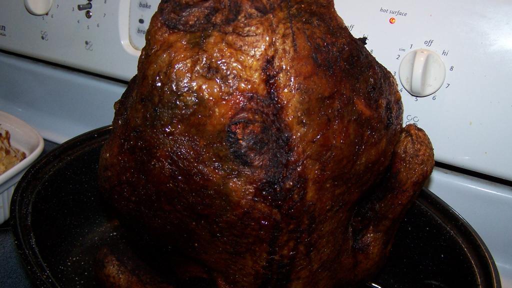Deep Fried Turkey Flavor Injector Marinade Recipe - Food.com