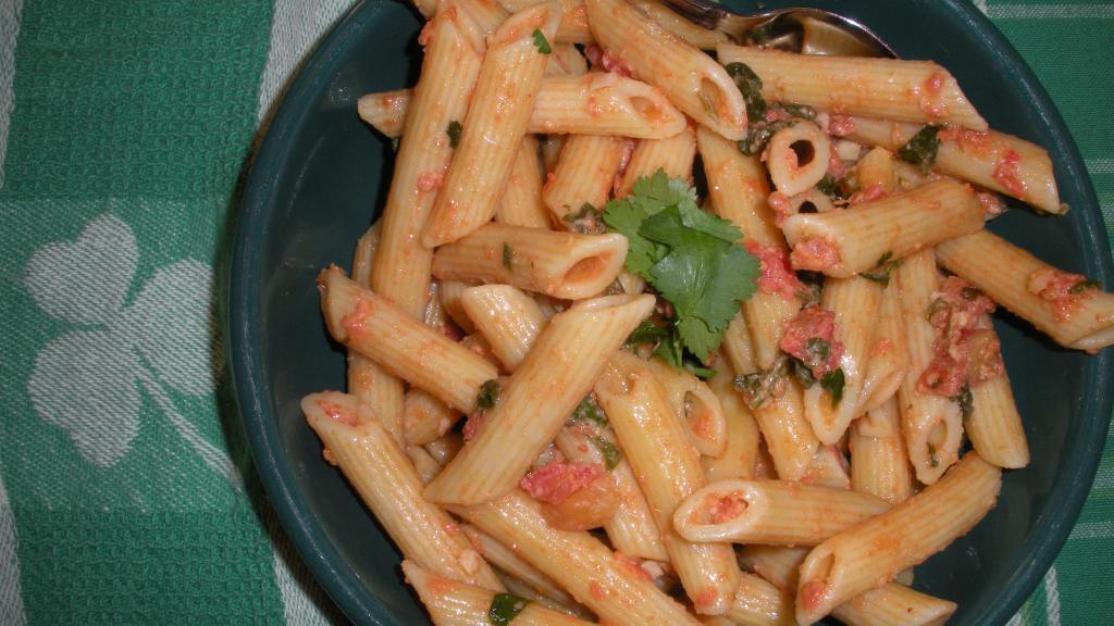 Irish Vodka Pasta Recipe - Food.com