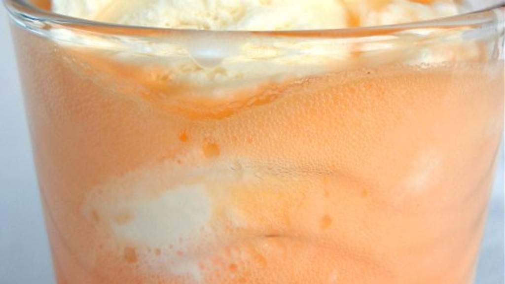 Creamsicle Float Recipe - Food.com