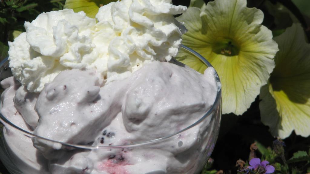 Raspberry Foam Recipe - Food.com