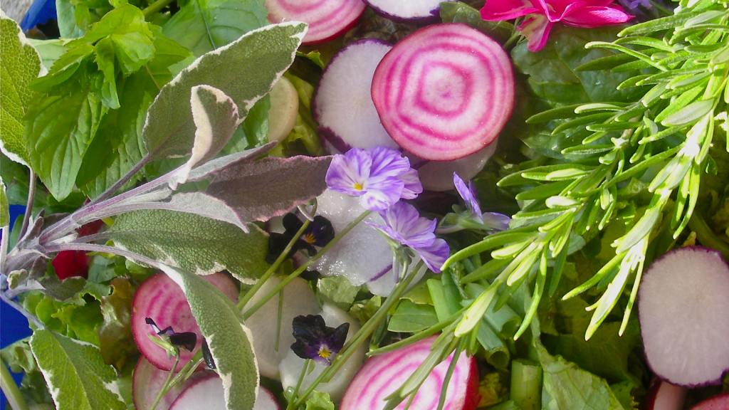 Elizabethan English Herb and Flower Salad With Honey Dressing Recipe ...