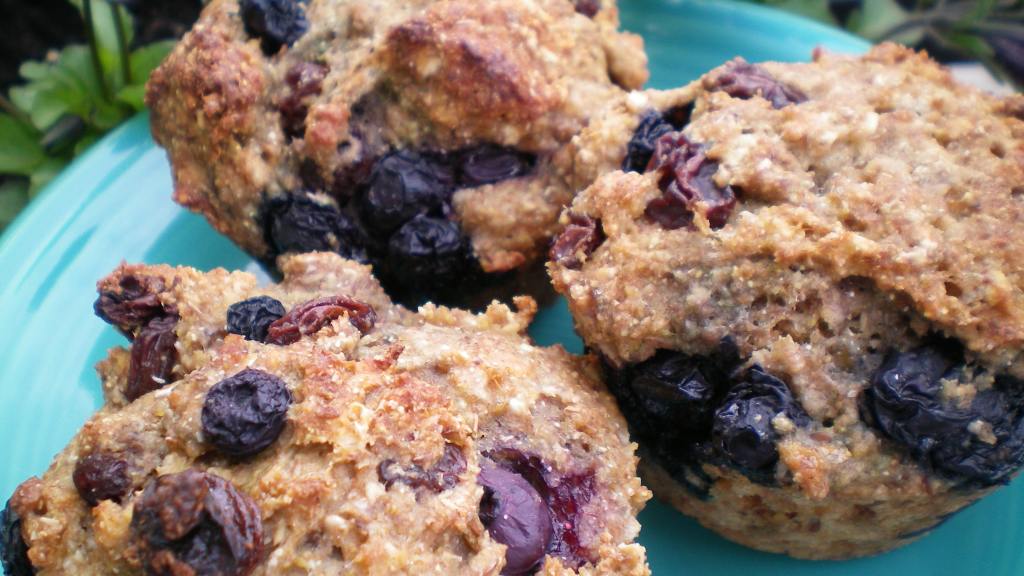 The Ultimate Healthy Muffins Recipe - Food.com