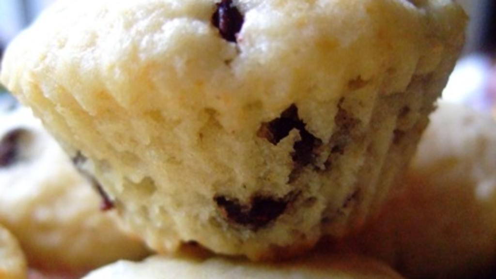 "wicked" Chocolate Chip Muffins Recipe - Food.com