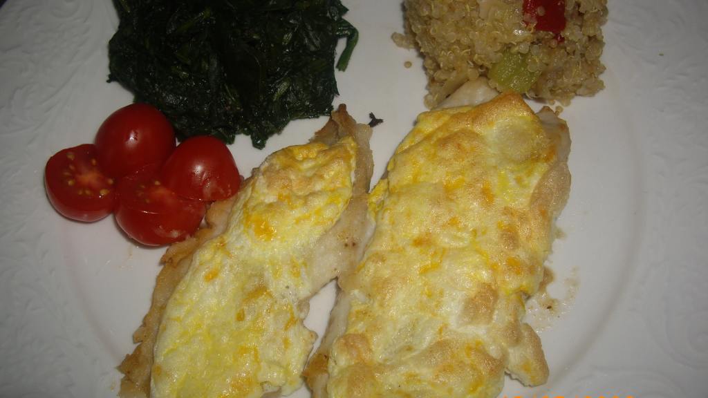 Golden-Topped Fish Fillets Recipe - Food.com