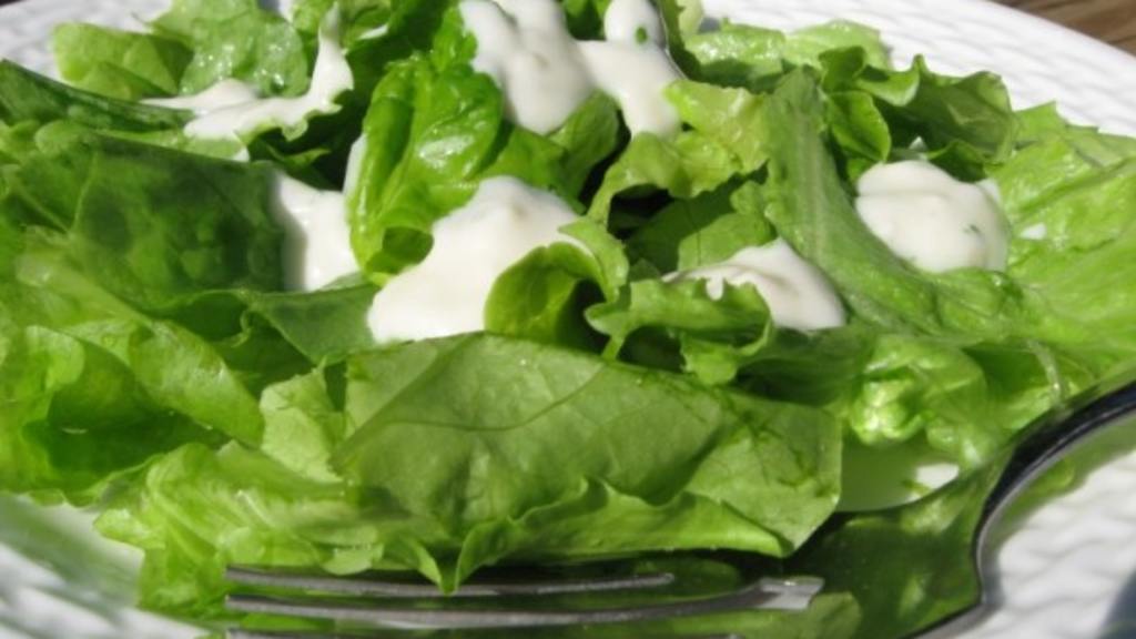 Bikini-Ready, Light Creamy Parmesan Dressing Recipe - Food.com