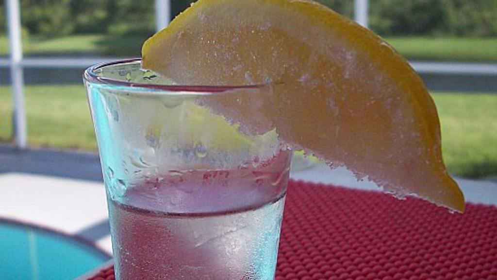 Lemon Drop Shooter Recipe - Food.com
