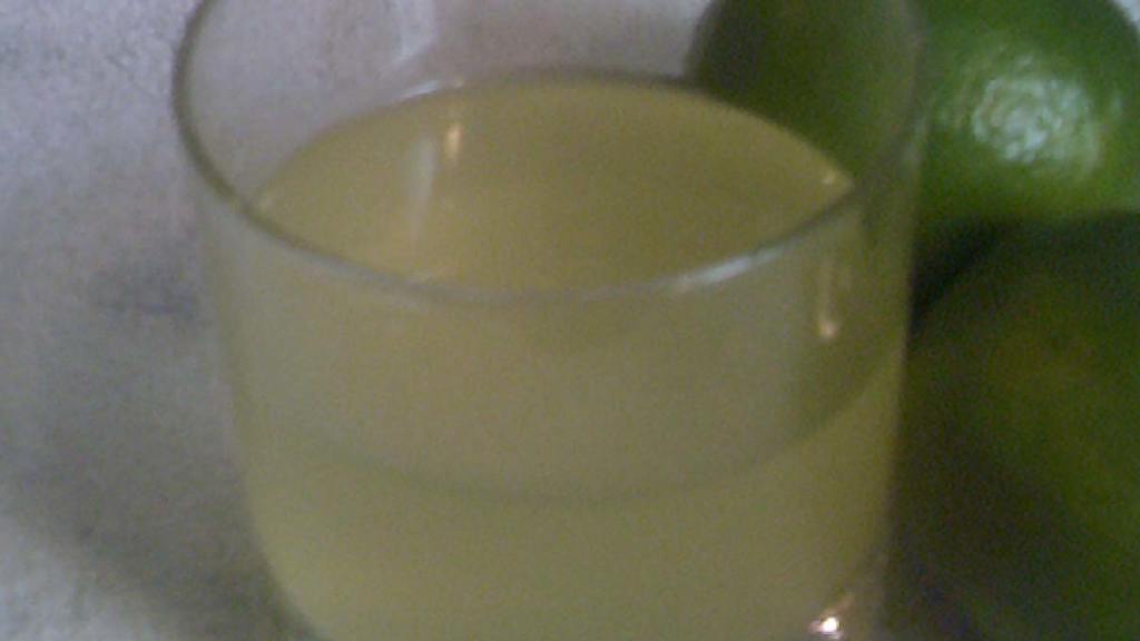 Russian Lemonade Recipe - Food.com