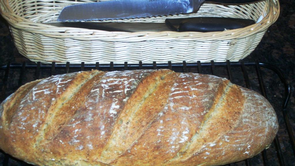 Deli-Style Rye - No Kneading Kneaded! Recipe - Food.com