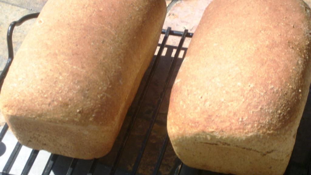 Rebecca's Jewish Rye Bread Recipe - Food.com