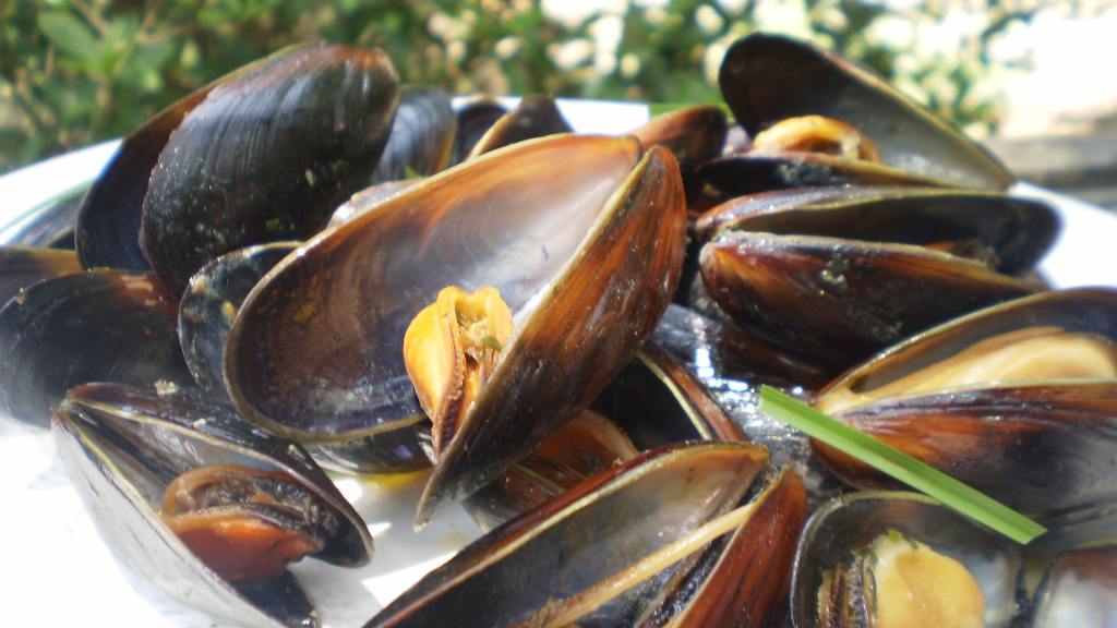 Karen's Smooth French Milk Mussels Recipe - Food.com