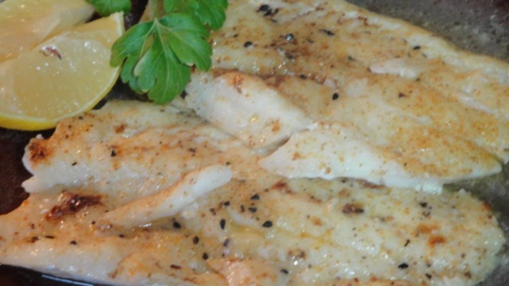 Tippys Amazing Broiled Haddock Recipe - Food.com