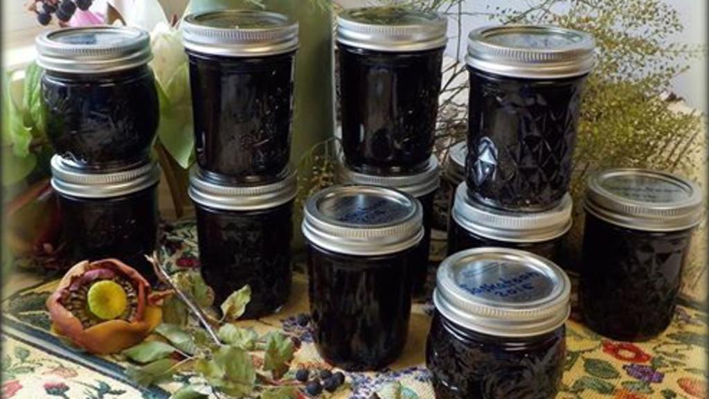 Saskatoon Berry Jam Recipe - Food.com