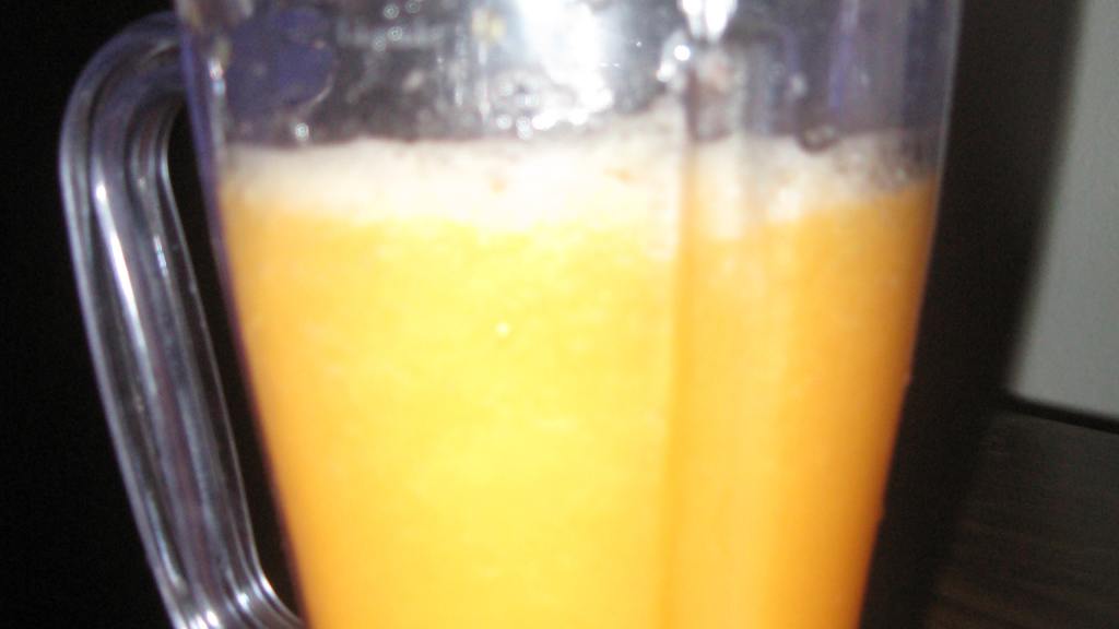 Orange Slushie Recipe - Food.com