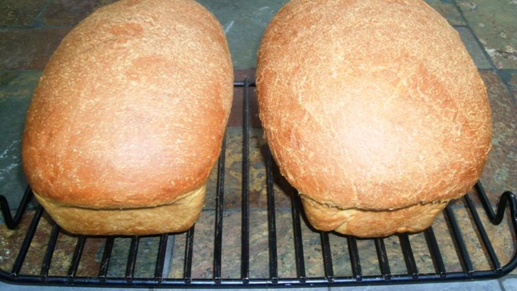 High Rising Whole Wheat Commercial Yeast Bread Recipe - Food.com