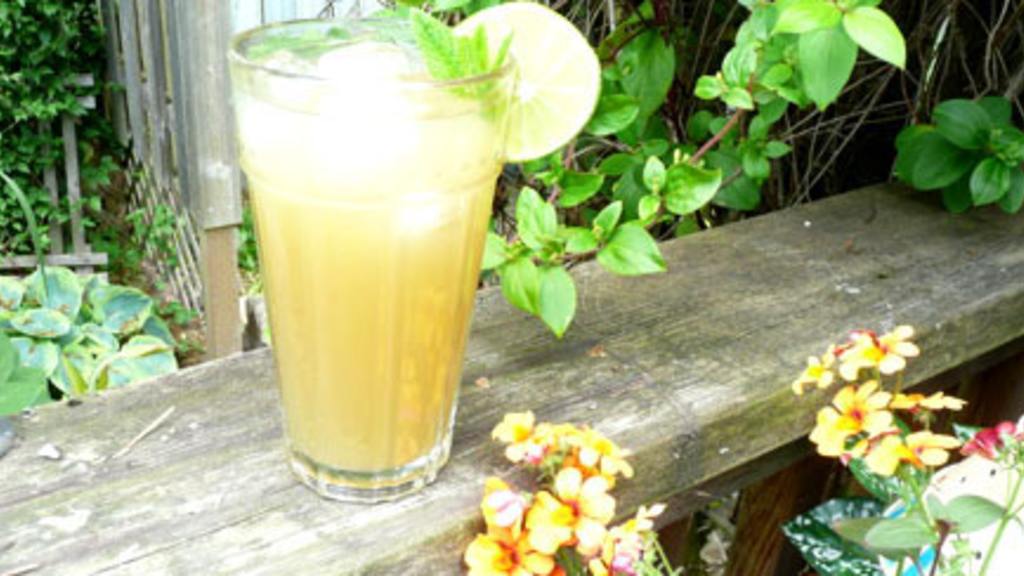 Zinger Green Tea Drink Recipe - Food.com