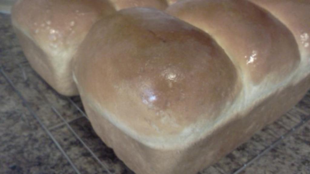 Newfoundland White Bread Recipe - Food.com