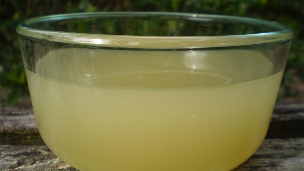 Boiler Broth - Early 1900's Recipe - Food.com