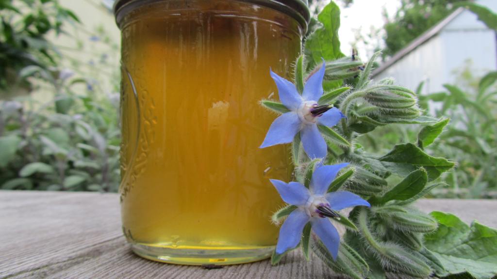 Borage Cucumber Jelly With Ginger Recipe - Food.com