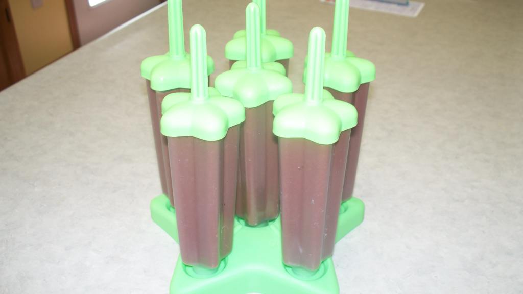 Chocolate Pudding Pops Recipe - Food.com