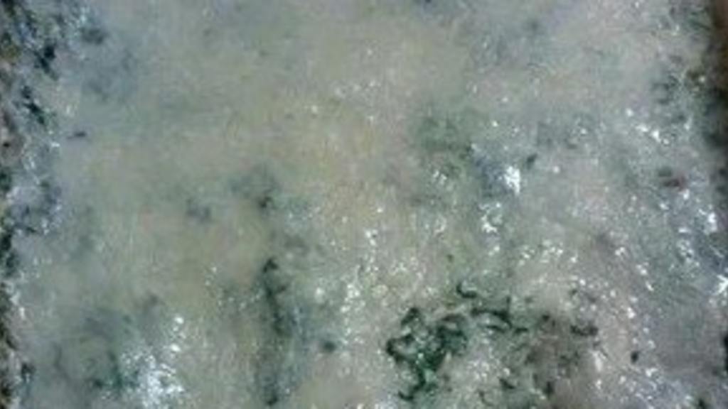 Calhoun's Knoxville Tennessee Spinach Maria Recipe - Food.com