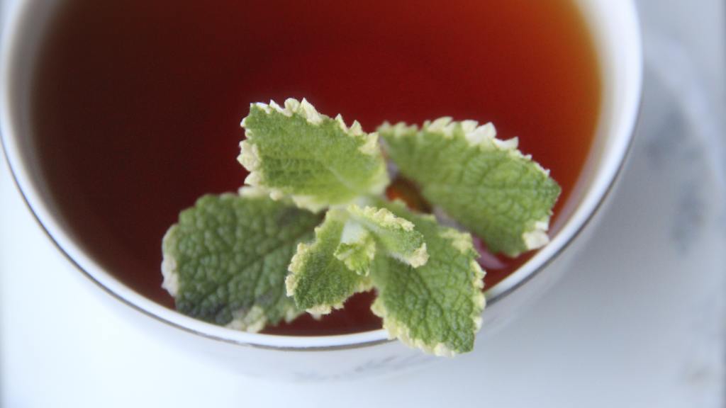 Moroccan Mint Tea Recipe - Food.com
