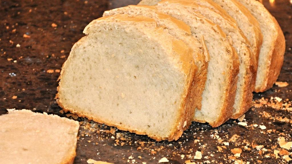 Sourdough Bread in Custom-Programmable Zo ABM Recipe - Food.com