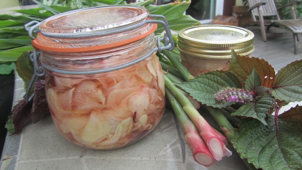 Pickled Ginger Recipe - Food.com