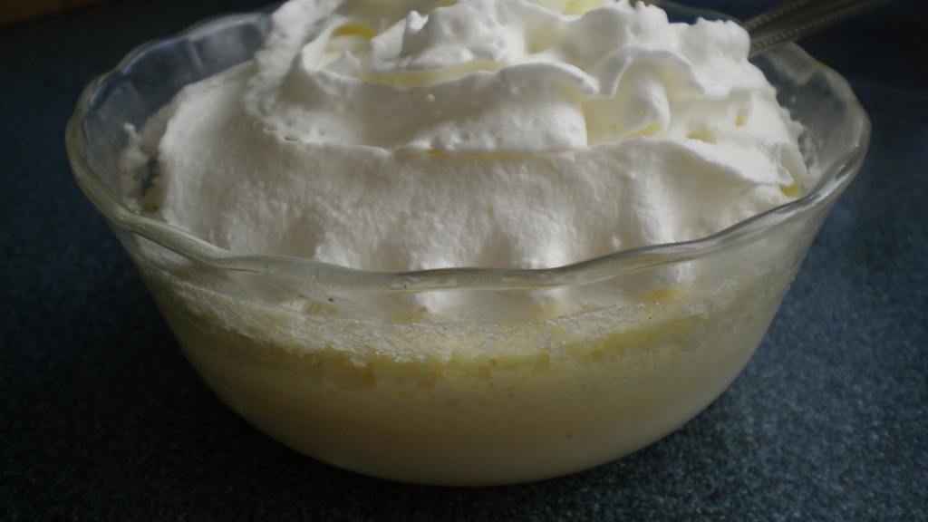 Melt-In-Your-Mouth Warm Lemon Pudding Recipe - Food.com