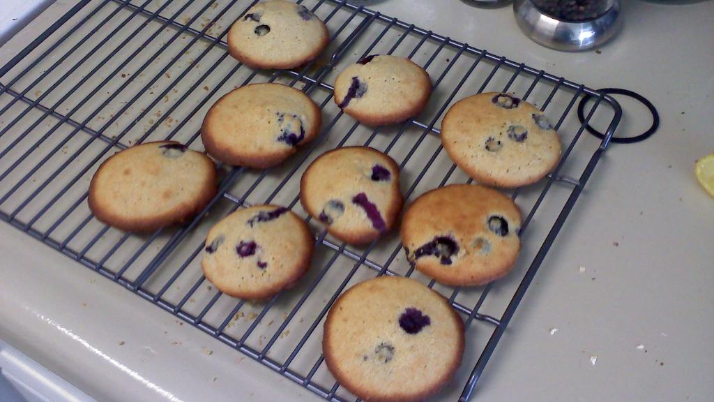 Fresh Blueberry Drop Cookies Recipe - Food.com