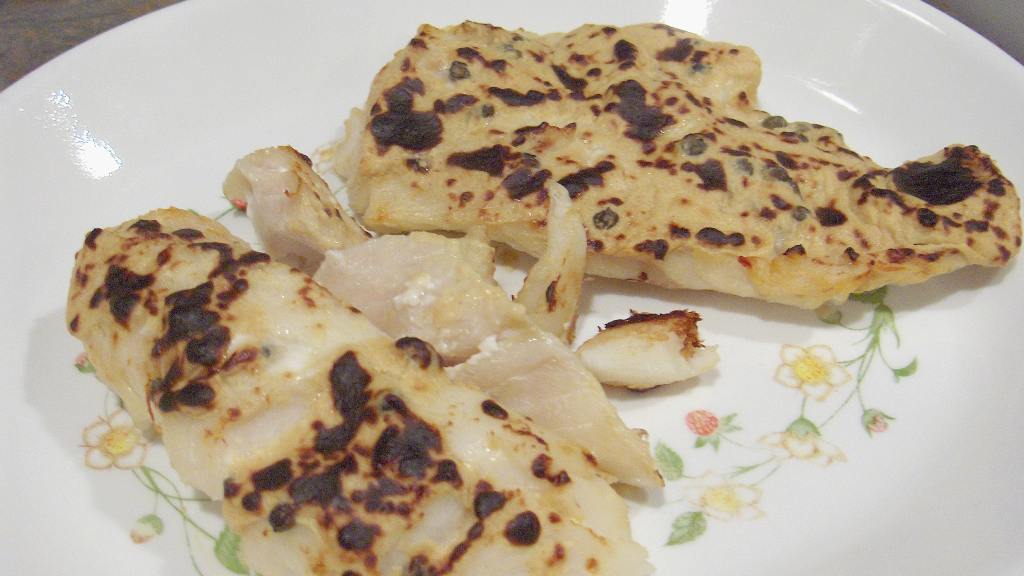 Parmesan Fish Recipe - Food.com