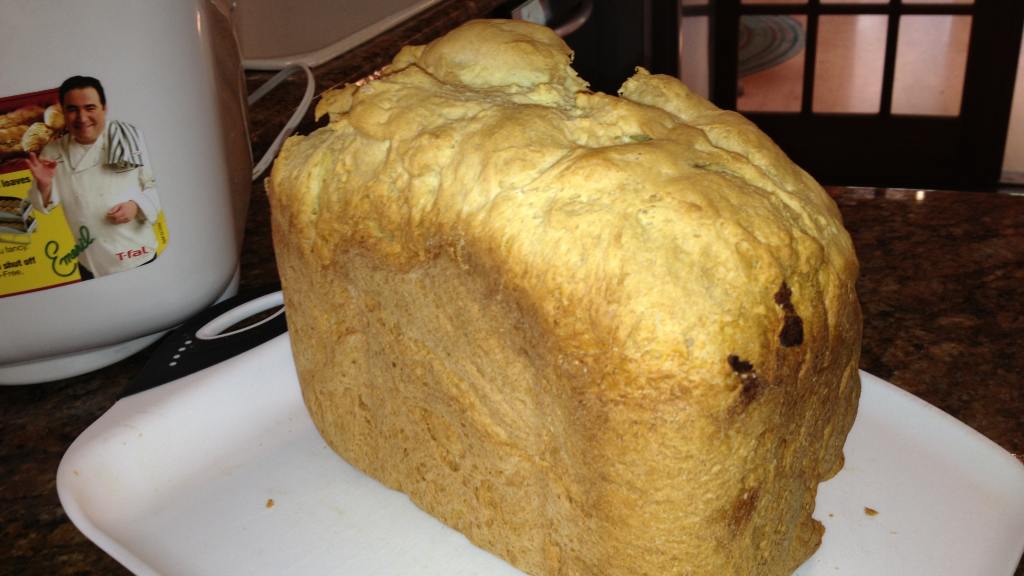 100% Semolina Bread Recipe - Food.com