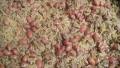 Dirty Rice (Easy) Recipe - Food.com