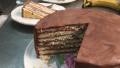 Traditional 8 Layer Doberge Cake Recipe - Food.com