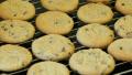 Bero Chocolate Chip Cookies Recipe - Food.com